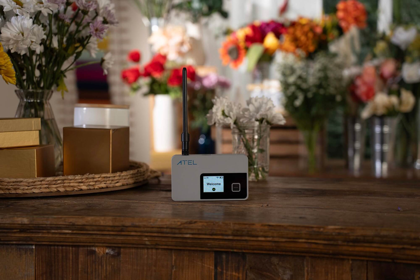 ATEL | Indoor Routers